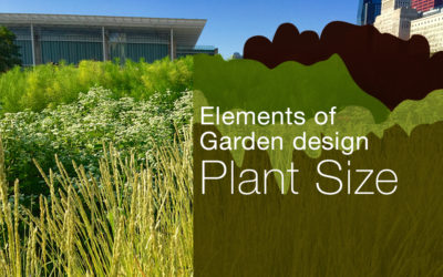 Lurie Garden Blog - Lurie Garden